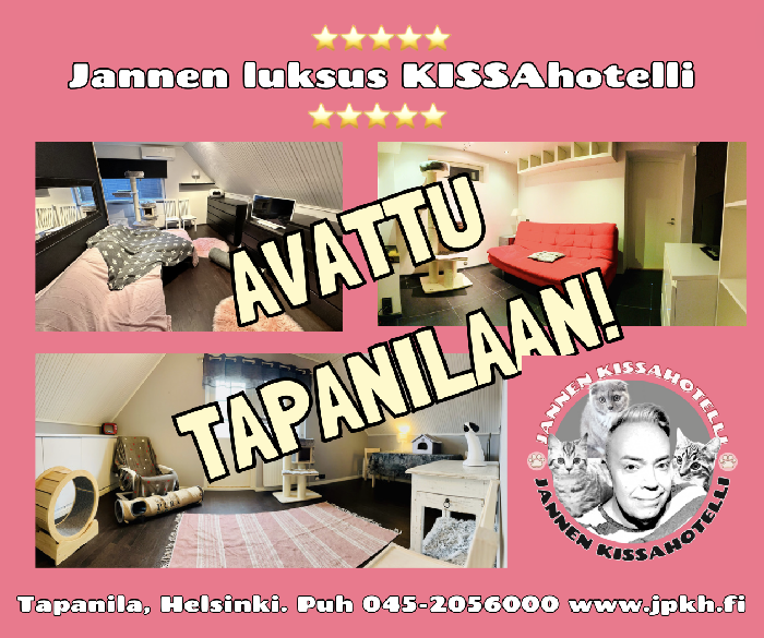 KISSOILLE :: Jannen lemmikkihotelli